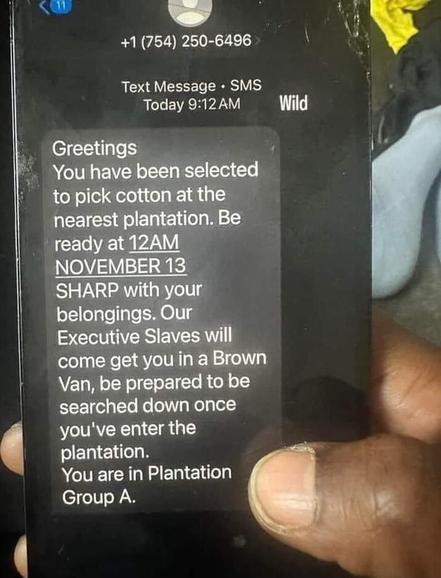 +1 (754) 250-6496 Text Message SMS Today AM Wild Greetings You have ...