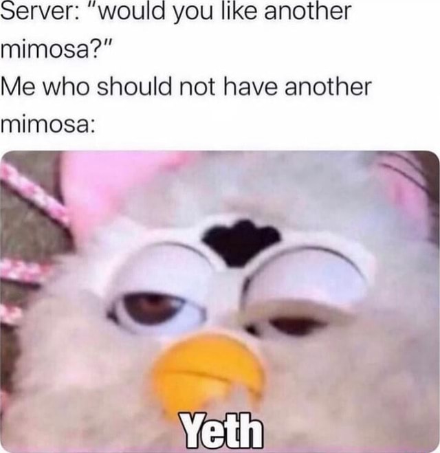 Server: "would you like another mimosa?" Me who should not have another ...