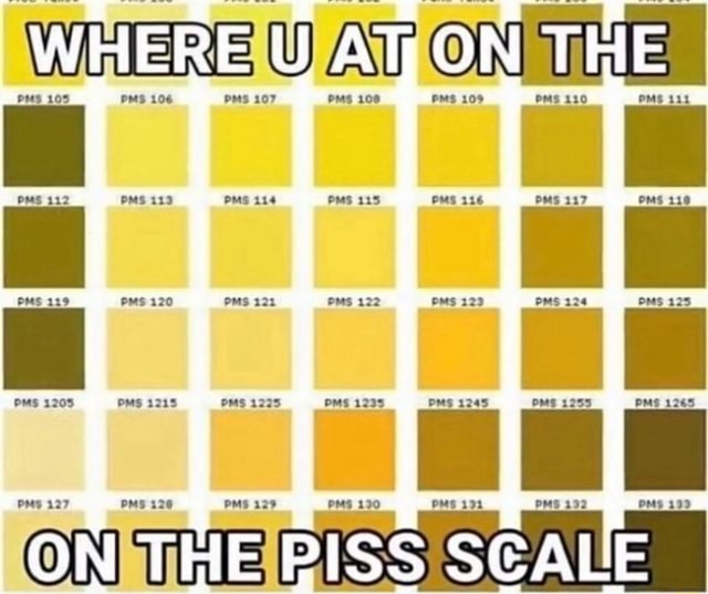 IWHERELUPATRON SHE: pes 112 pMs 123 PMS 236 Cores PMs 129 ps 192 - iFunny