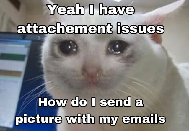 Yeah have attachement issues How do I send picture with my emails - iFunny