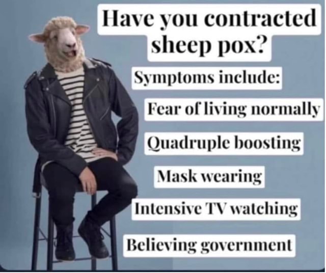 Have you contracted sheep pox? Symptoms include: Fear of living ...