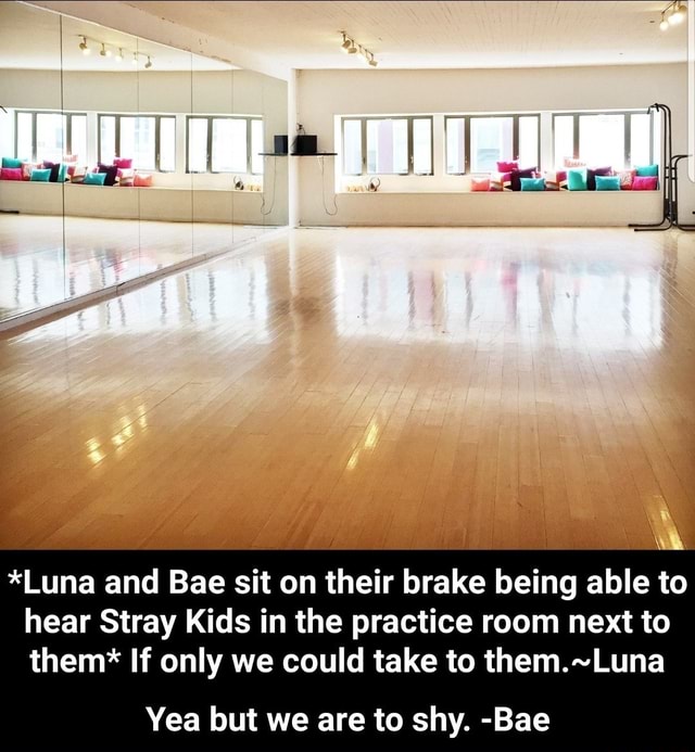 *Luna and Bae Slt on their brake bemg able to hear Stray Kids in the ...