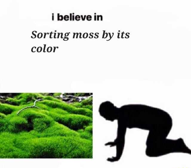 Believe Sorting moss by its color - iFunny