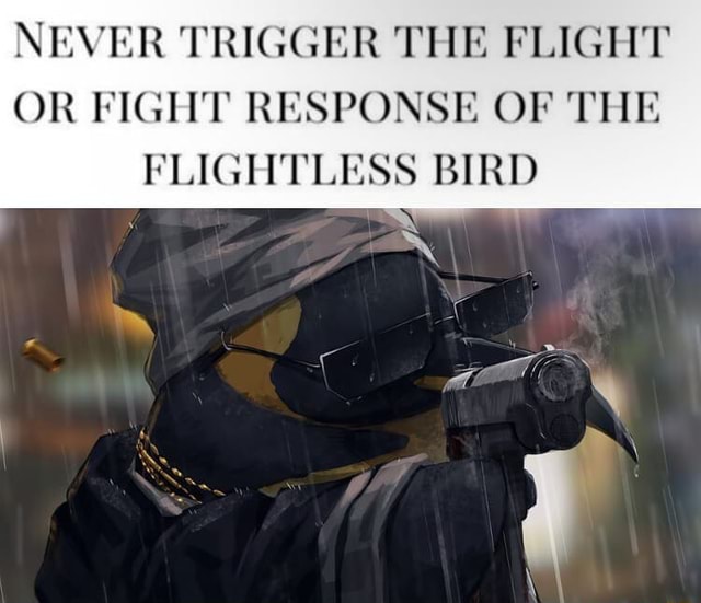 NEVER TRIGGER THE FLIGHT OR FIGHT RESPONSE OF THE FLIGHTLESS BIRD - iFunny