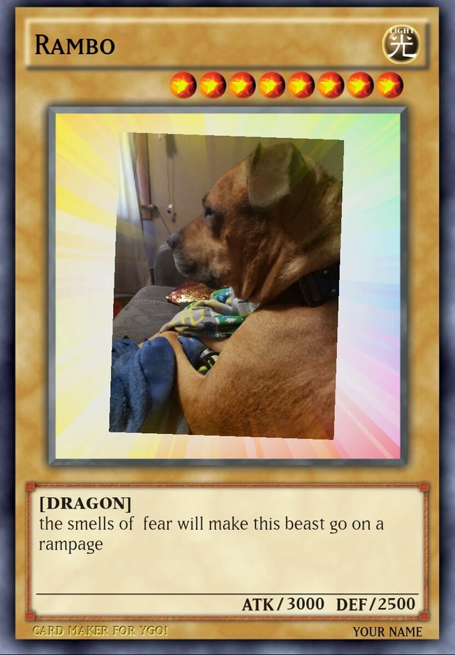 RAMBO [DRAGON] the smells of fear will make this beast go on a rampage ...