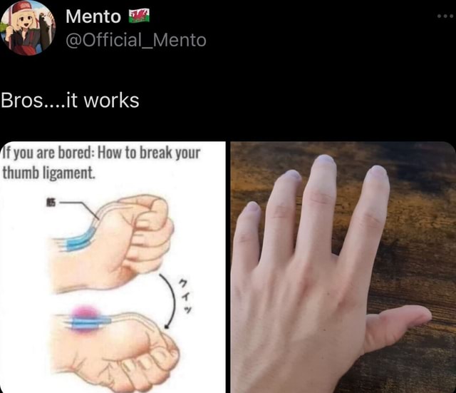 Mento @Official_Mento Bros....it works you are bored: How to break your ...