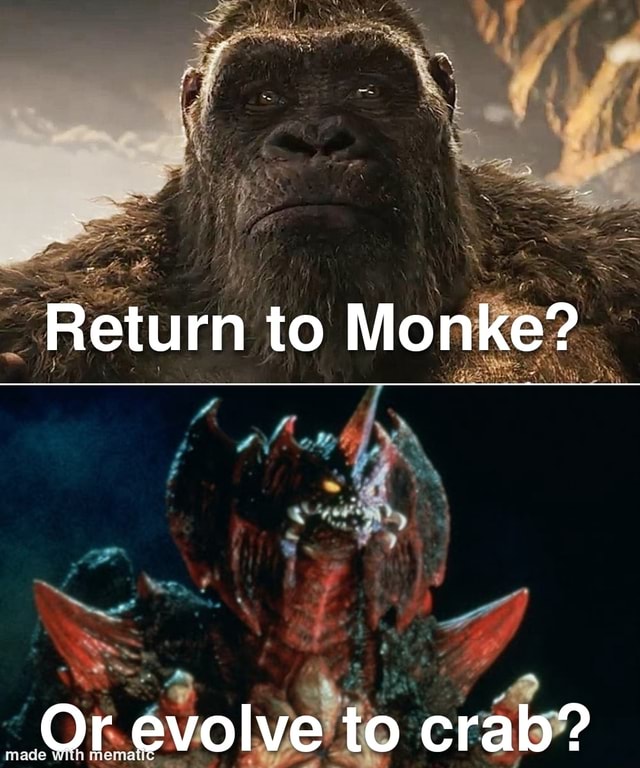 Return to Monke? Or evolve to crab? - iFunny
