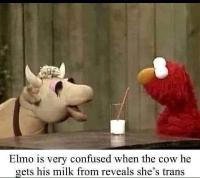 Elmo is very confused when the cow he gets his milk from reveals she's ...