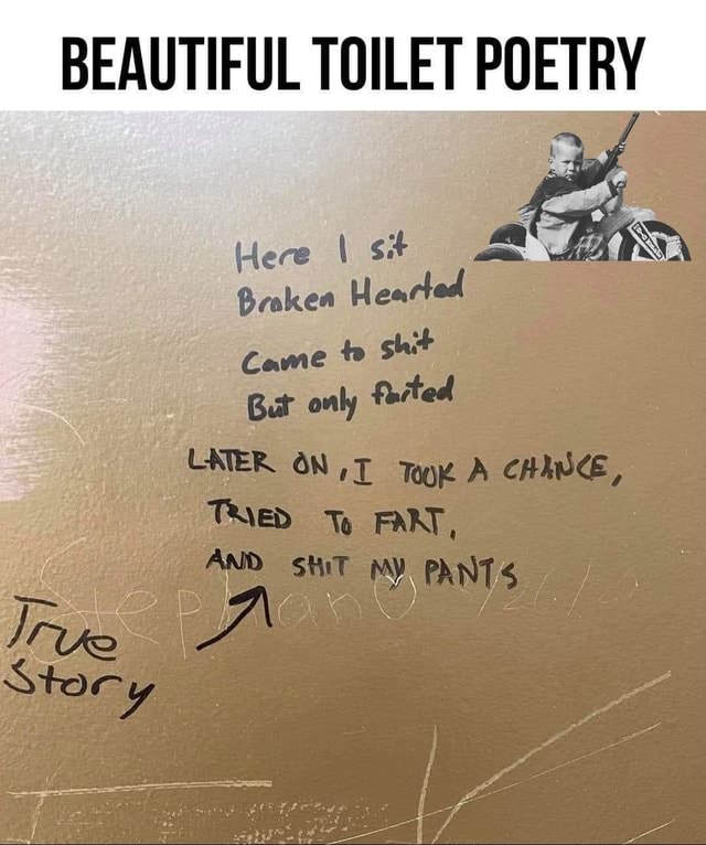 BEAUTIFUL TOILET POETRY PANTS - iFunny