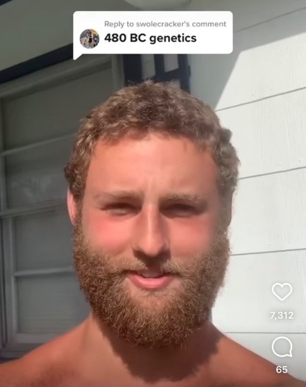 480 BC genetics - iFunny