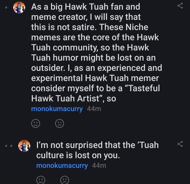 As a big Hawk Tuah fan and meme creator, I will say that this is not ...