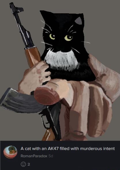 A cat with an AK47 filled with murderous intent RomanParadox 5 - iFunny