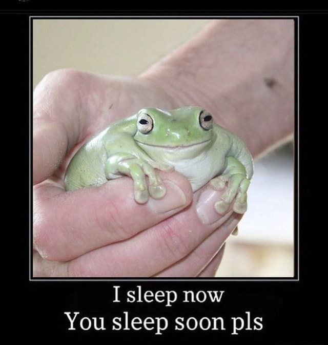 I sleep now You sleep soon pls - iFunny