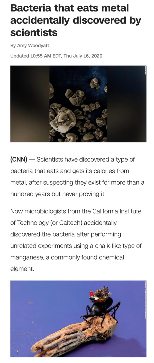 Bacteria that eats metal accidentally discovered by scientists By Amy ... Bacteria that eats metal accidentally discovered by scientists By Amy ...
