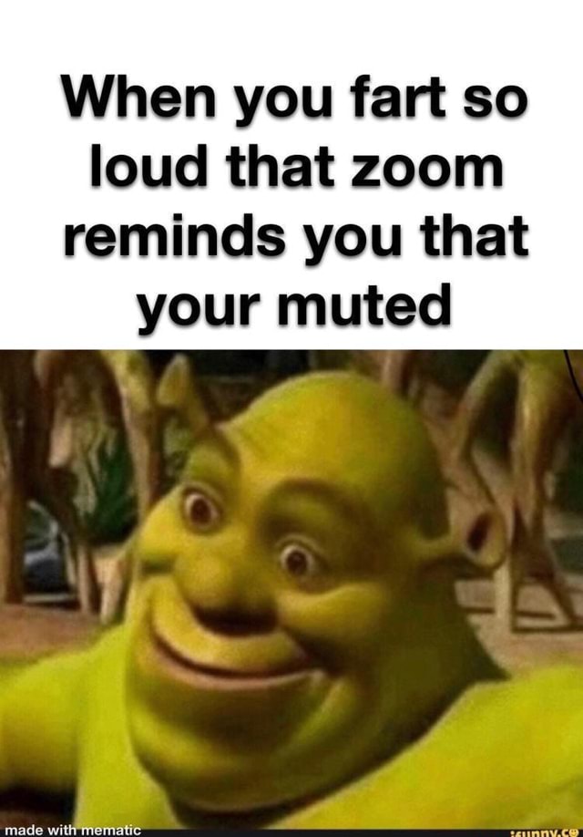 When you fart so loud that zoom reminds you that your muted - iFunny