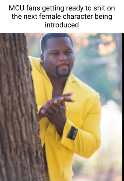 MCU fans getting ready to shit on the next female character being ...
