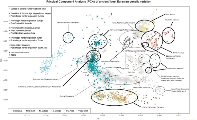 Pee Principal Component Analysis (PCA) of ancient West Eurasian genetic ...