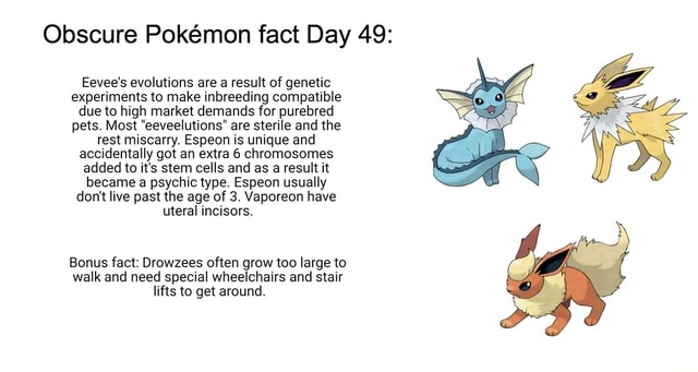 Obscure Pokemon fact Day 49: Eevee's evolutions are a result of genetic ...
