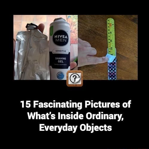 15 Fascinating Pictures of What's Inside Ordinary, Everyday Objects ...