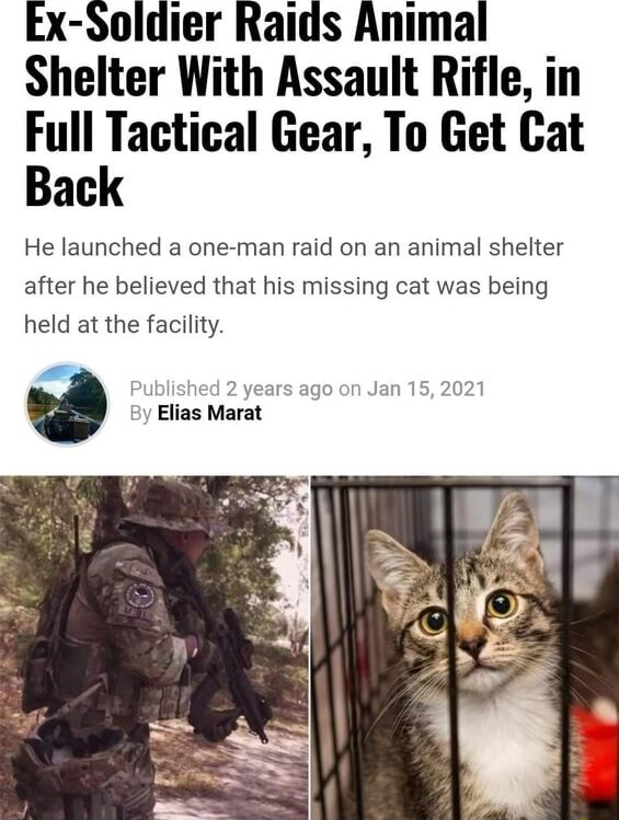 Ex-Soldier Raids Animal Shelter With Assault Rifle, in Full Tactical ...