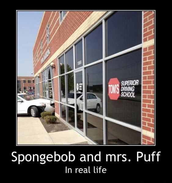 Spongebob and mrs. Puff In real life - Spongebob and mrs. Puff In real ...