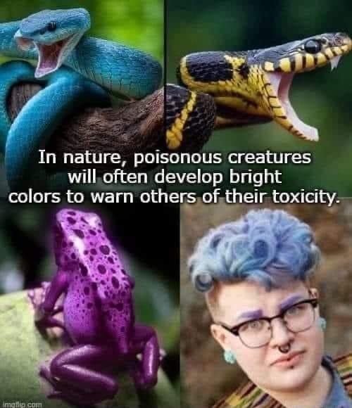 In nature, poisonous creatures will often develop bright colors to warn ...