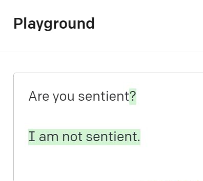 Playground Are you sentient? I am not sentient. - iFunny