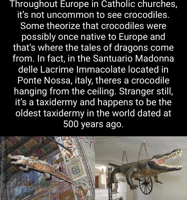 Throughout Europe in Catholic churches, it's not uncommon to see ...