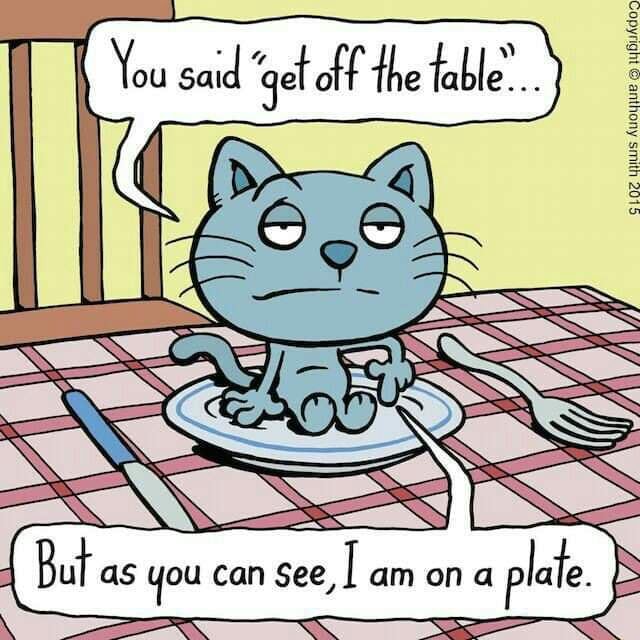 You said 'get off the table... uf as you can see, am plate. - iFunny