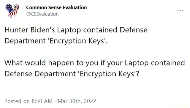 Common Sense Evaluation Hunter Biden's Laptop contained Defense ...