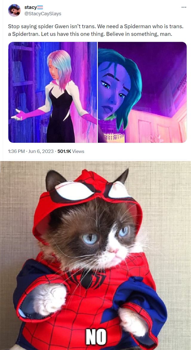No Spider Gwen Is Not Trans And Stacy Stacycayslays Stop Saying Spider Gwen Isnt Trans We
