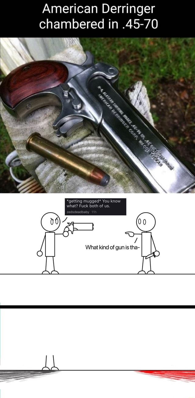 American Derringer chambered in .45-70 Wheet of is - iFunny