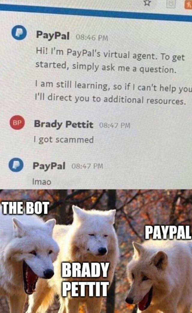 Q PayPal 08:46 pm Hi! I'm PayPal's virtual agent. To get started ...