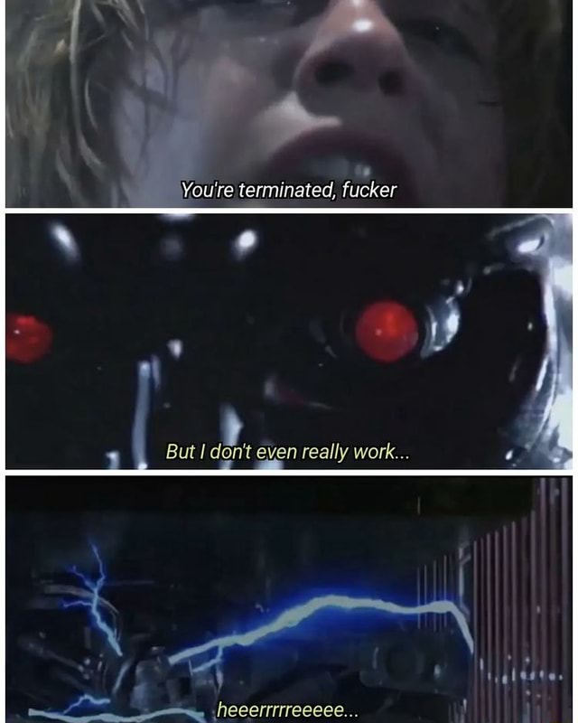 You're terminated, fucker But I don't even really work... - iFunny