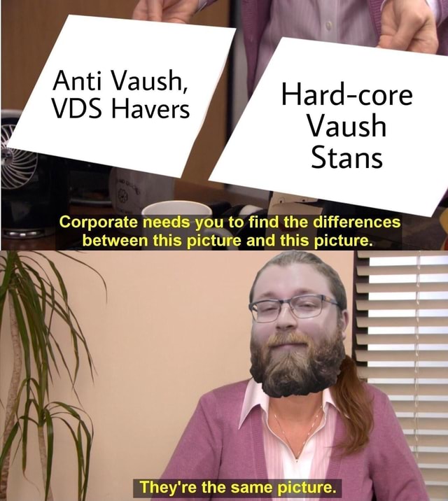 Anti Vaush, Hard-core VDS Havers Vaush Stans Corporate needs you to ...