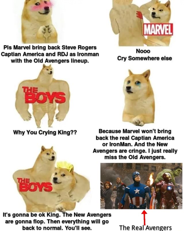 " Pr Pis Marvel bring back Steve Rogers Captian America and RDJ as ...