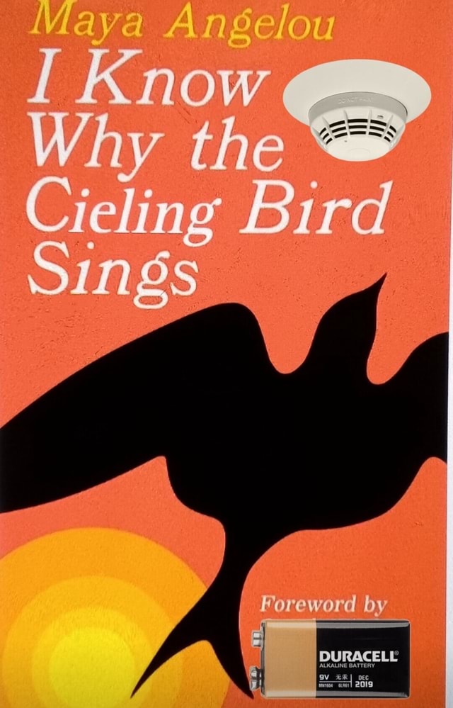 I Know Why the Cieling Bird Sings Foreword by ALKALINE BATTERY - iFunny