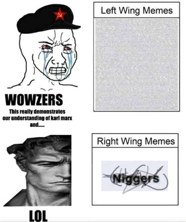 Left Wing Memes Right Wing Memes WOWZER Thts reaily Gomensirates ...