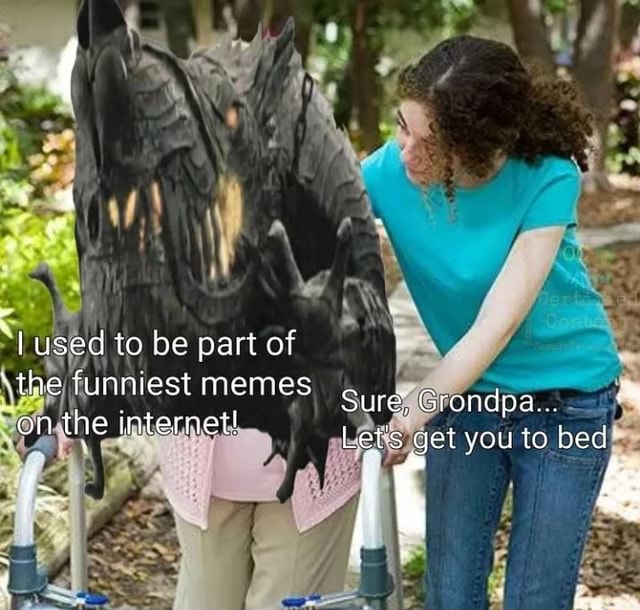 'Lused to be part of the the the funniest memes Sure, pa ont internet ...