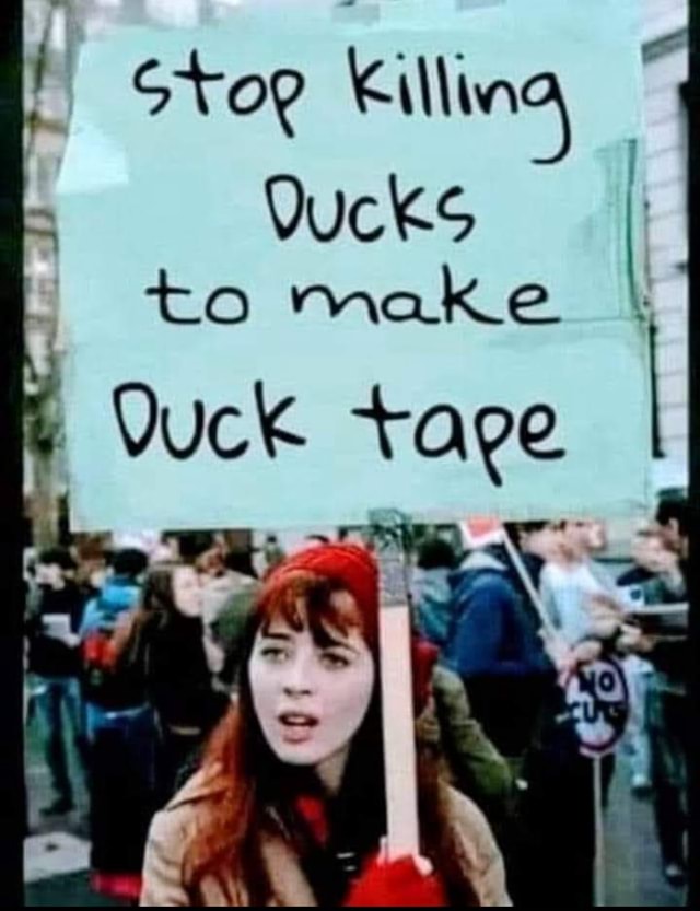 StoP Killing to Ducks make I to make Duck tape - iFunny