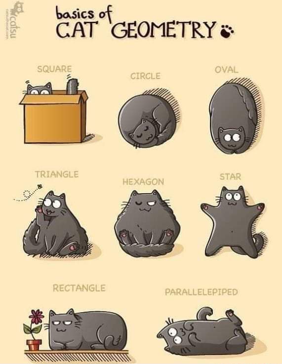 Basics of CAT GEOMETRY Ox
