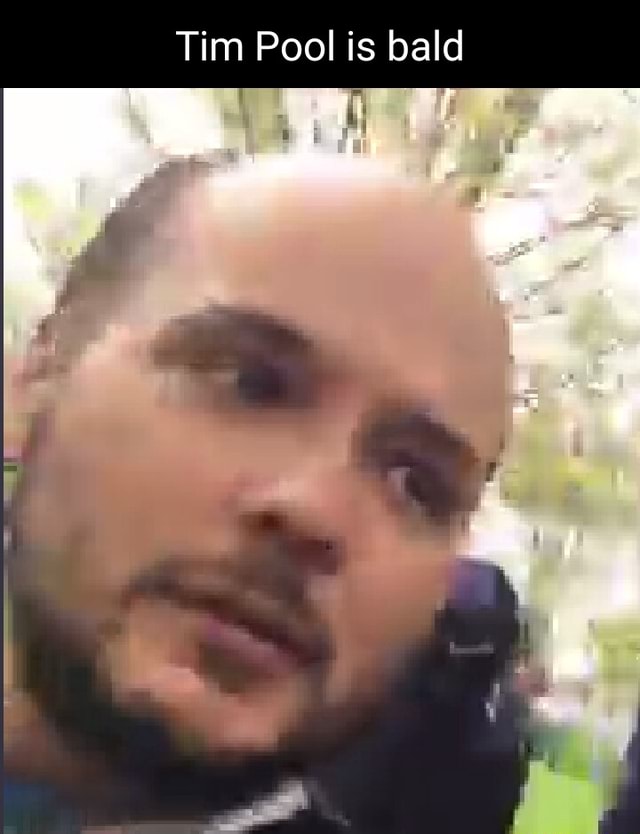 Tim Pool is bald - iFunny
