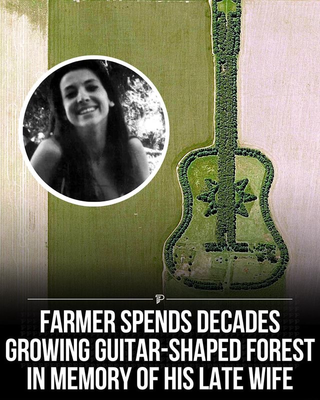 Swipe to see the story behind Pedro Martin Ureta who planted a huge ...