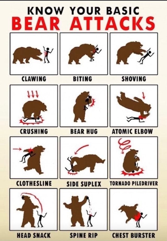OW YOUR BASIC KNOW YOUR BASIC BEAR ATTACKS SS BITING SHOVING CRUSHING ...