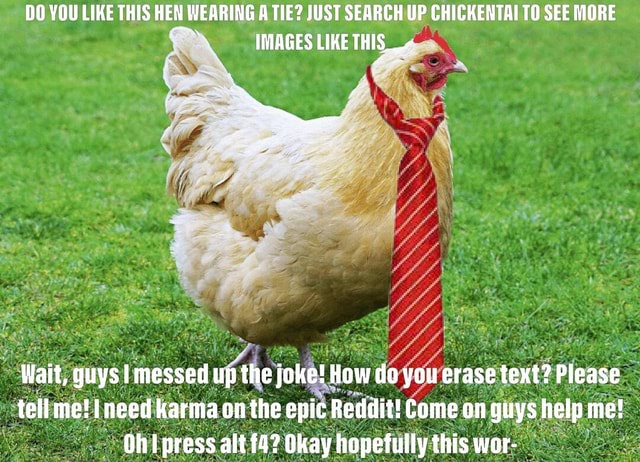 Pecan Hen Memes