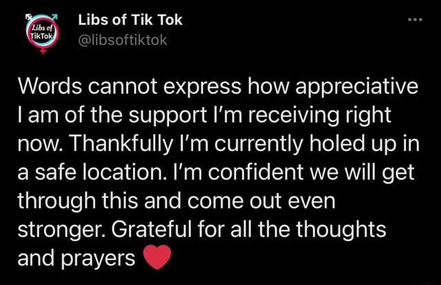 Libs Of Tik Tok Libsoftiktok Libs Of Words Cannot Express How
