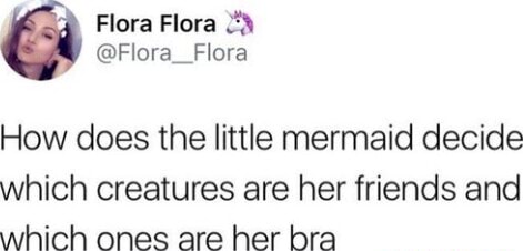How does the little mermaid decide which creatures are her friends and ...