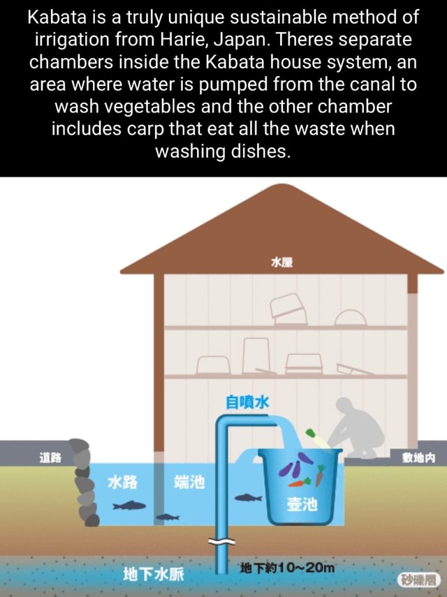 Kabata is a truly unique sustainable method of irrigation from Harie ...