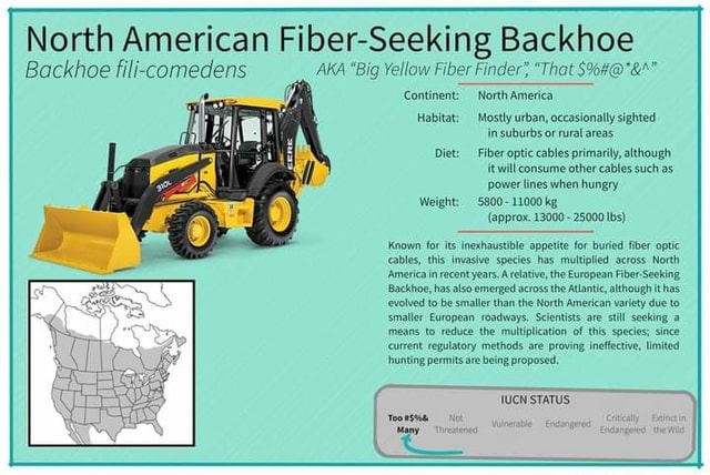 North American Fiber- Seeking Backhoe Backhoe filiccomedens AKA "Big ...