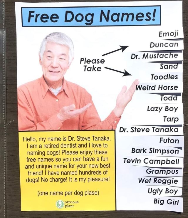 Free Dog Names! Hello, my name is Dr. Steve Tanaka. \am a retired ...
